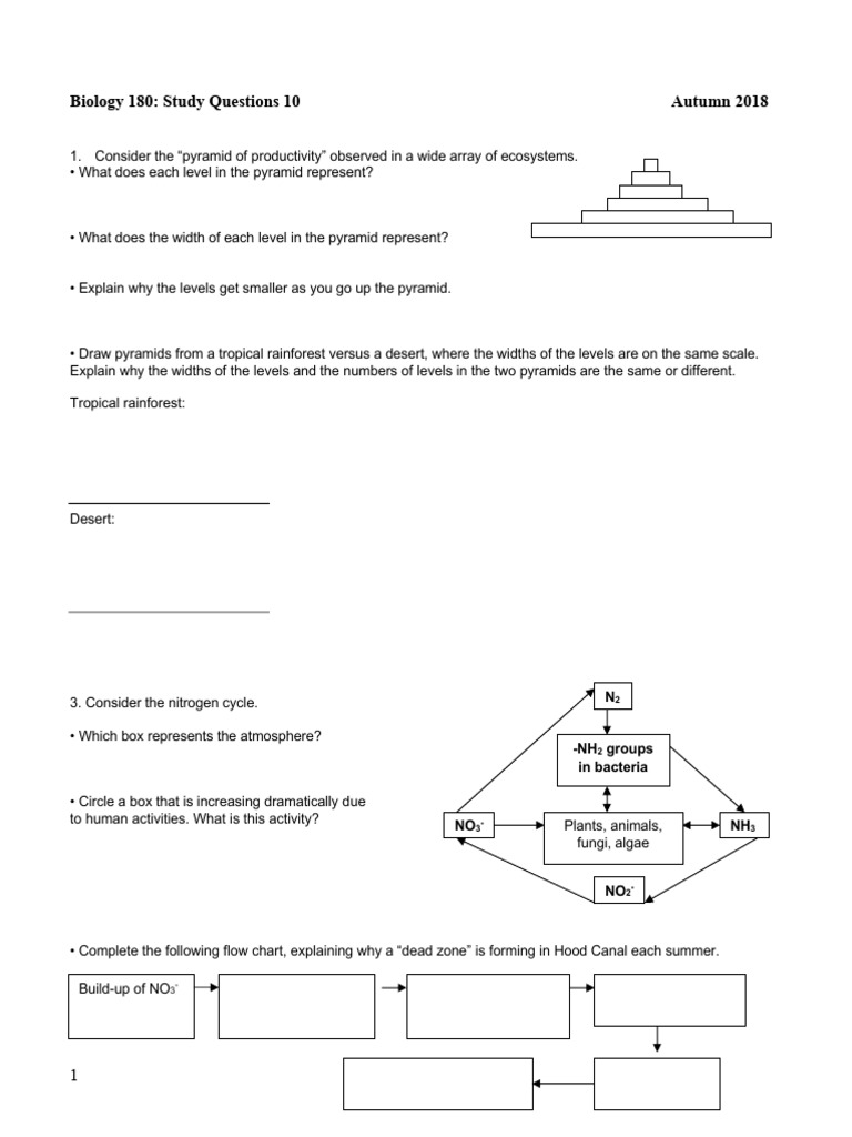 BIOL180 Practice10 2018fall | PDF | Biodiversity | Ecosystem