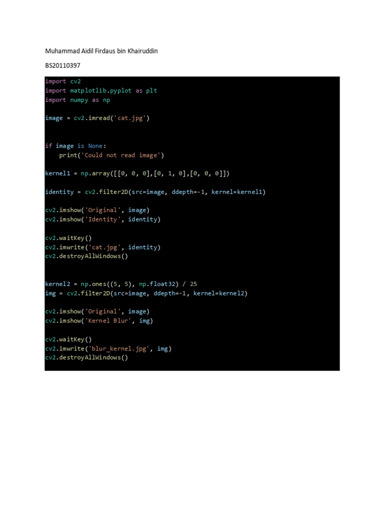 Muhammad Aidil Firdaus Bin Khairuddin | PDF