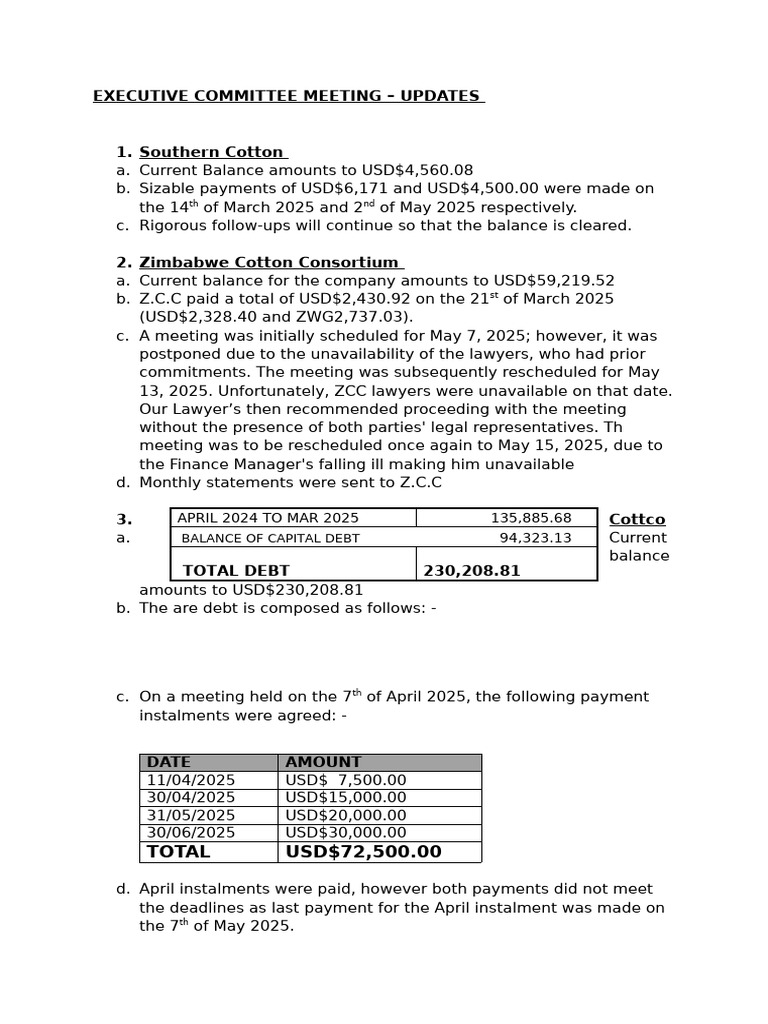 Update To Exec Committee | PDF | Debt | Taxes