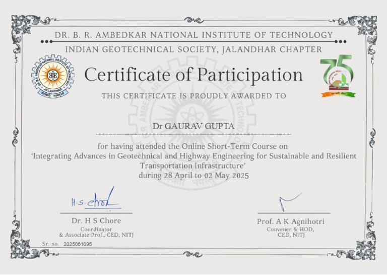 Certificate STC IAGHE 2025 | PDF