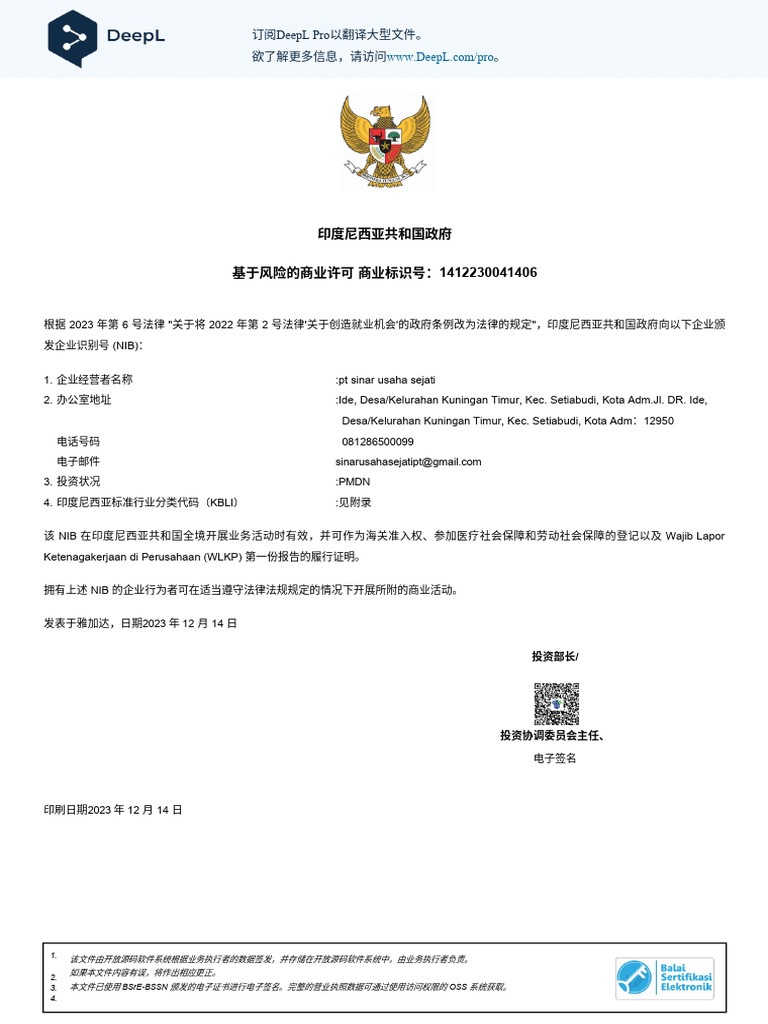 NIB PT SUS - 250219 - 231530 ZH | PDF