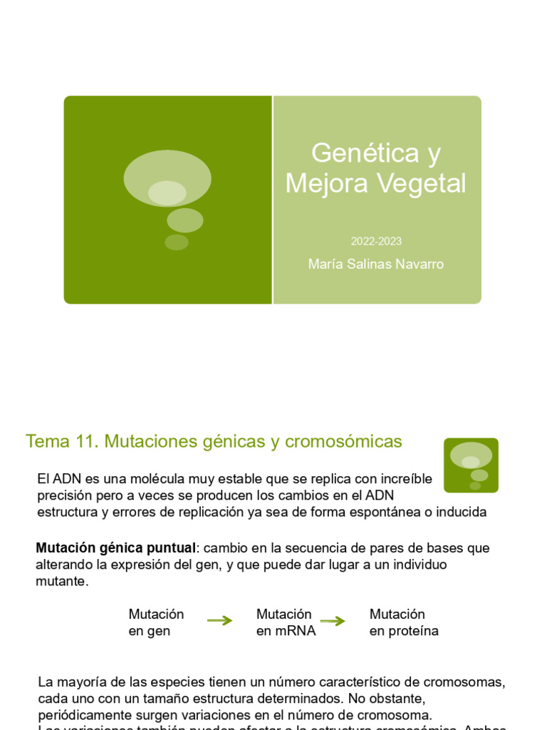 Mutaciones Génicas y Cromosómicas: Tipos y Efectos | PDF | Mutación ...
