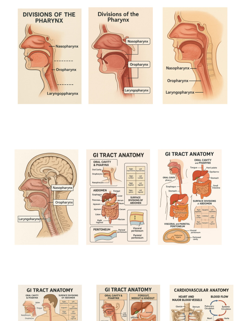 Gpt Generated Imges Anatomy | PDF