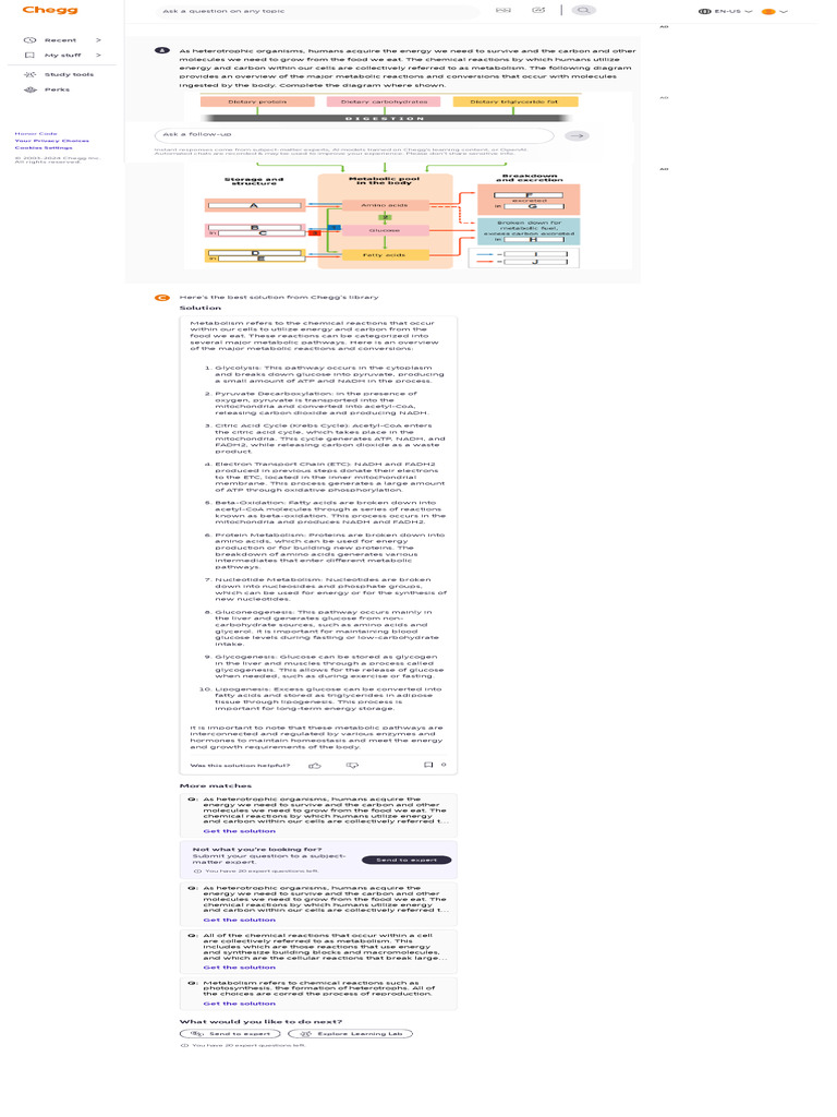 As Heterotrophic Organisms, Humans Acquire The Ene... | PDF | Metabolism | Cell Biology