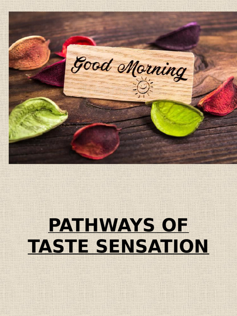Pathwayfortastesensation | PDF | Taste | Stimulus (Physiology)
