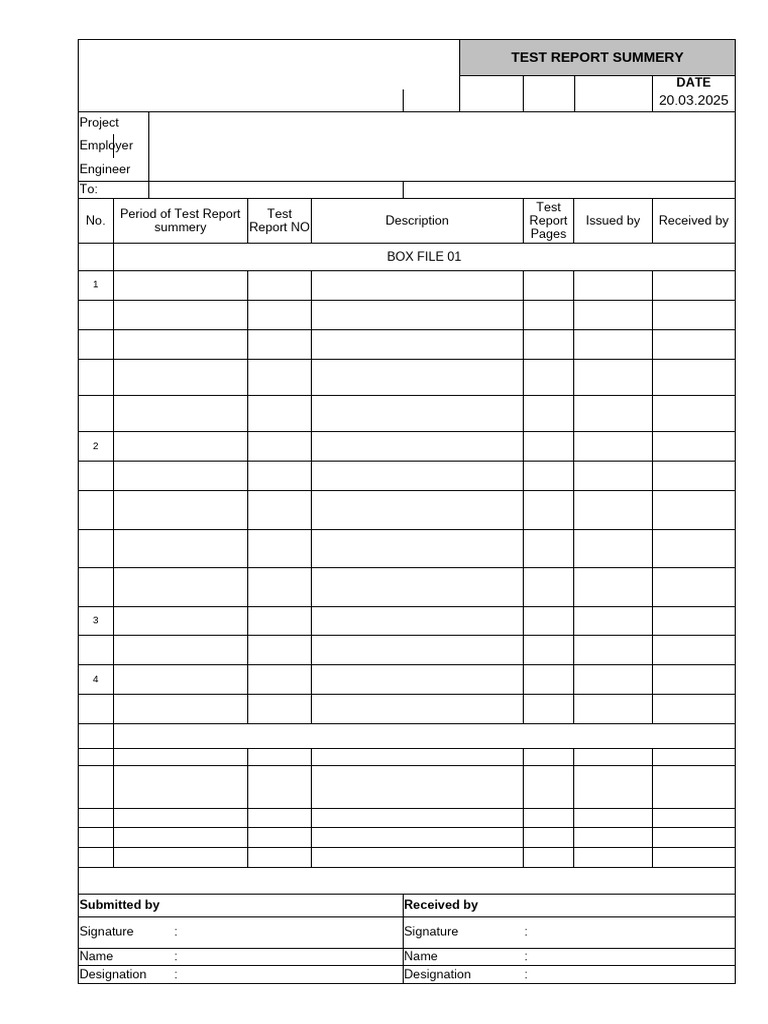 Test Report Summary - March 2025 | PDF