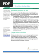 Wallace Rule of Nines | PDF | Burn | Intravenous Therapy