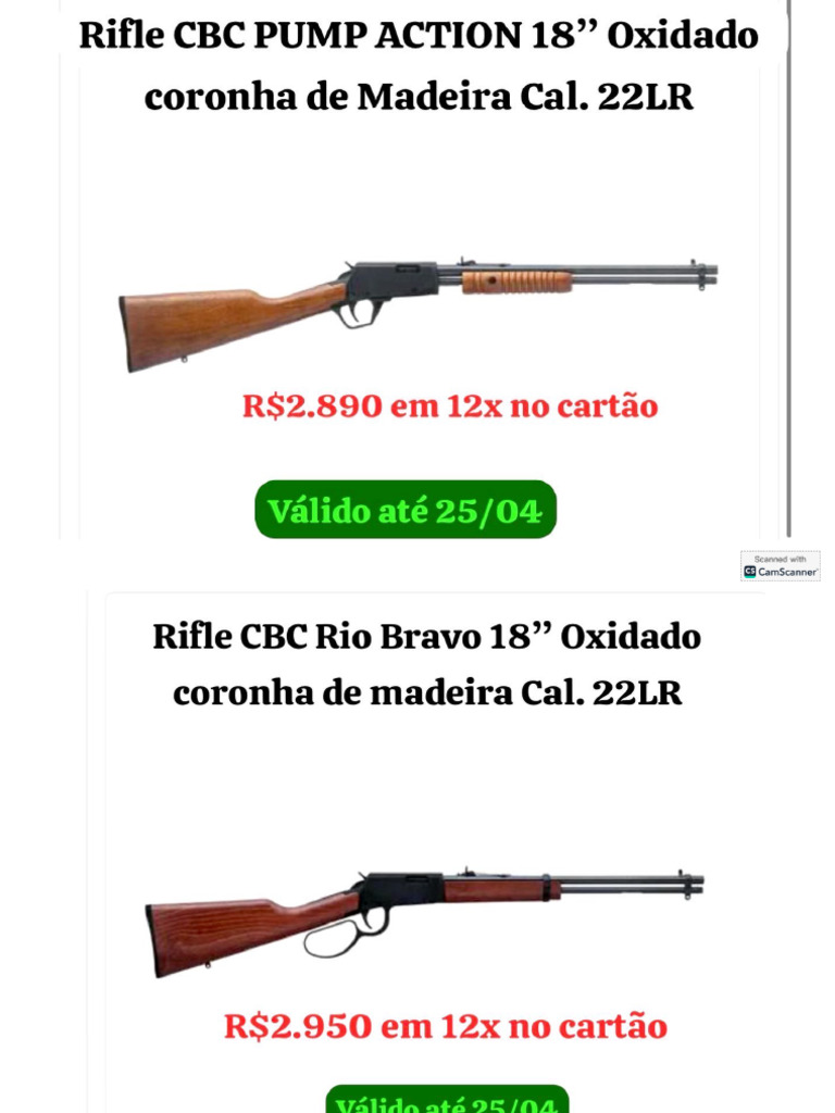 Rifles e Carabinas | PDF