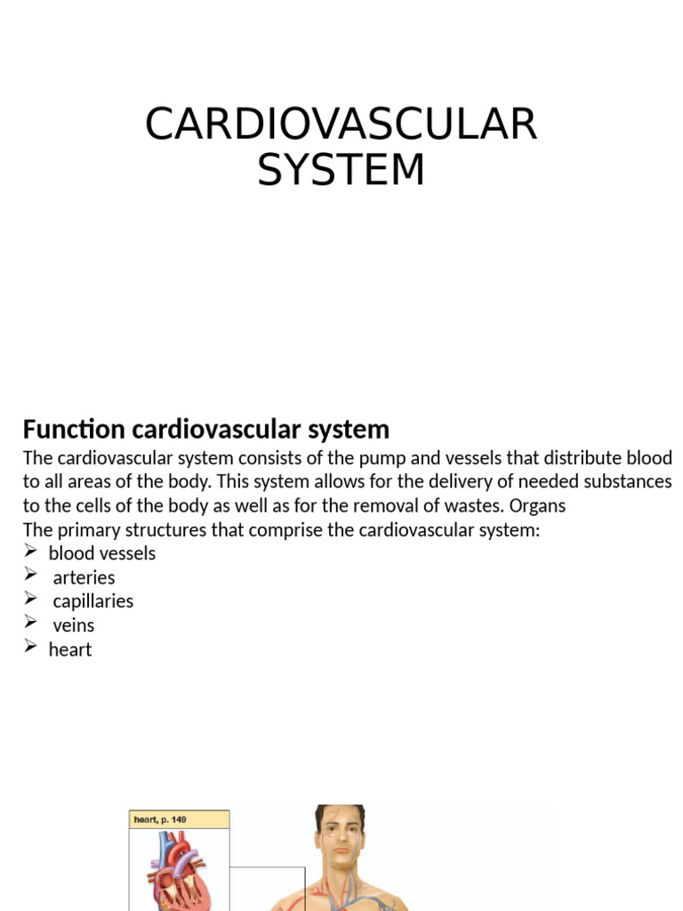 Cardiovascular System | PDF