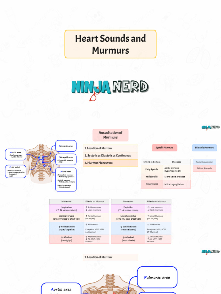 Understanding Heart Murmurs and Maneuvers | PDF | Internal Medicine ...