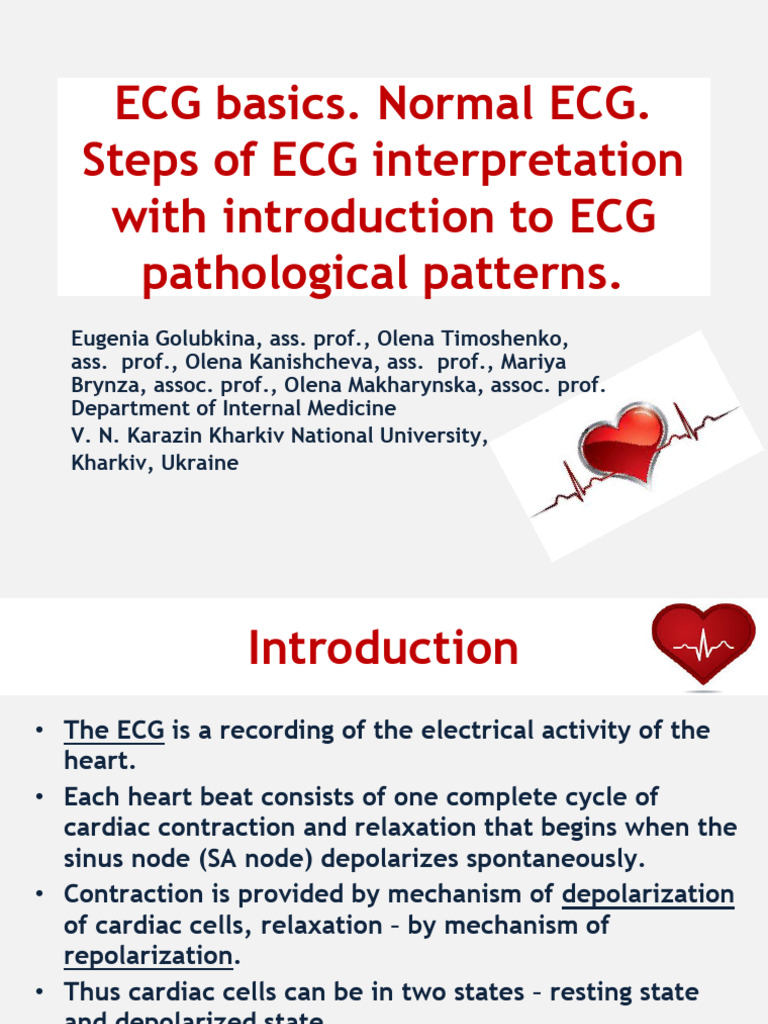 Lecture ECG Basics 2018-2019 1 | PDF | Electrocardiography | Cardiac Muscle
