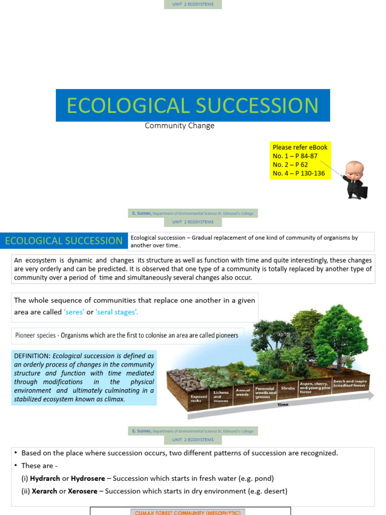 Ecological Succession | PDF | Ecology | Ecosystem