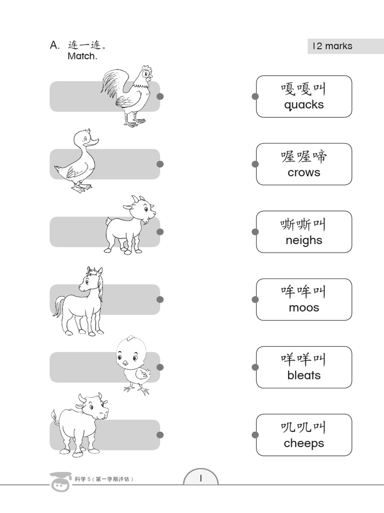 Science 5 Assessment Paper (3 Sets) | PDF