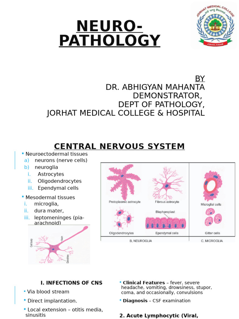 Unit XVII Neuro Pathology | PDF | Meningitis | Medical Specialties
