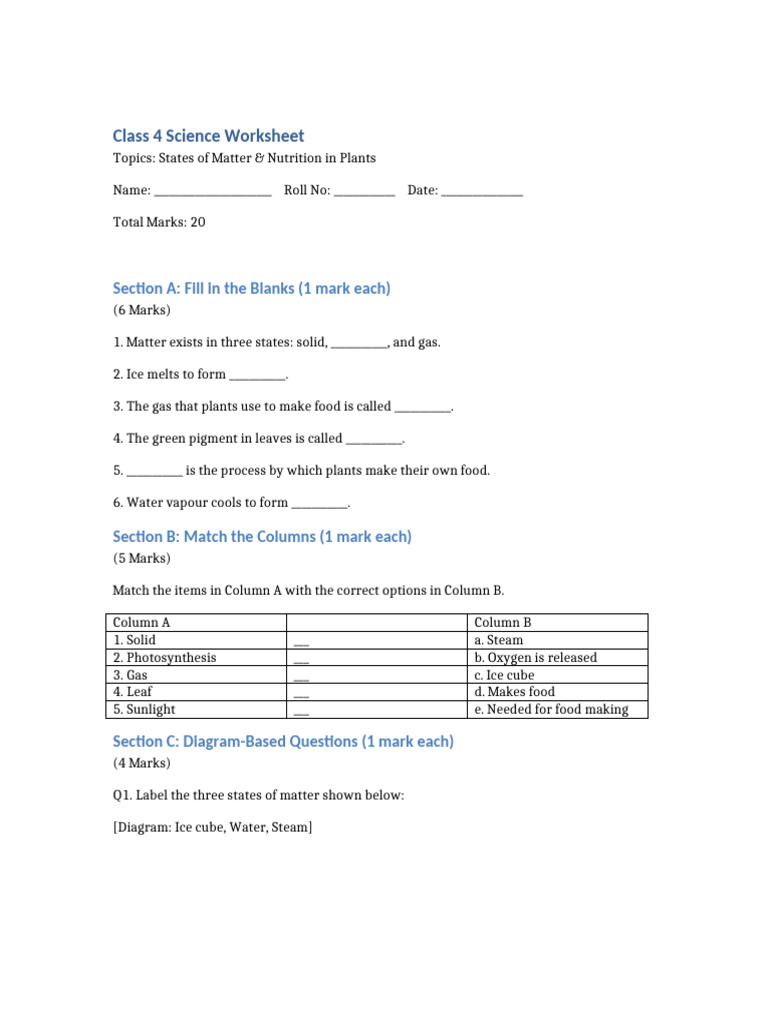 Class 4 Science Worksheet With Diagrams | PDF