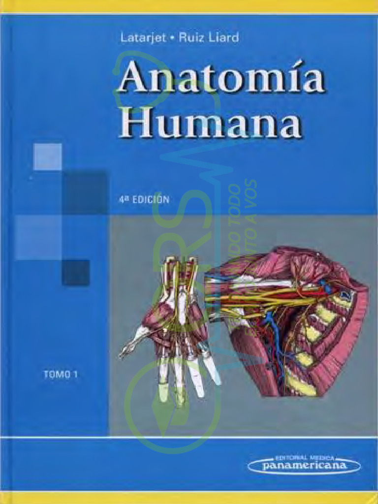 Anatomía Humana - Latarjet - 4ta Edición - Tomo 1 | PDF
