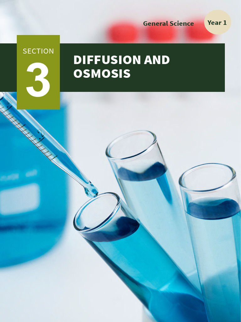 Understanding Diffusion and Osmosis | PDF | Osmosis | Diffusion