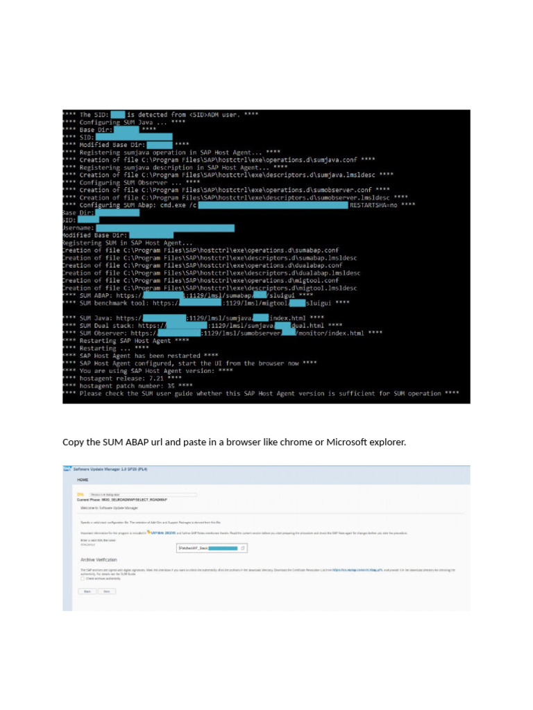 Copy the SUM ABAP url and paste in a browser like chrome or Microsoft explorer | PDF | Databases ...