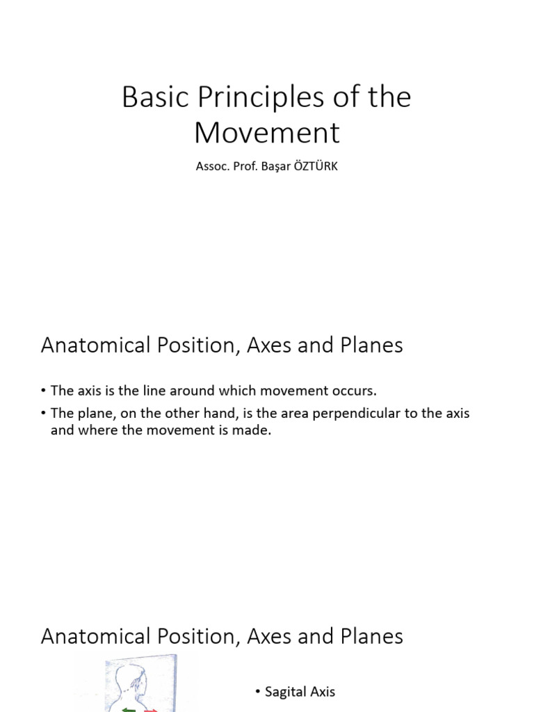 Basic Principles of The Movement | PDF