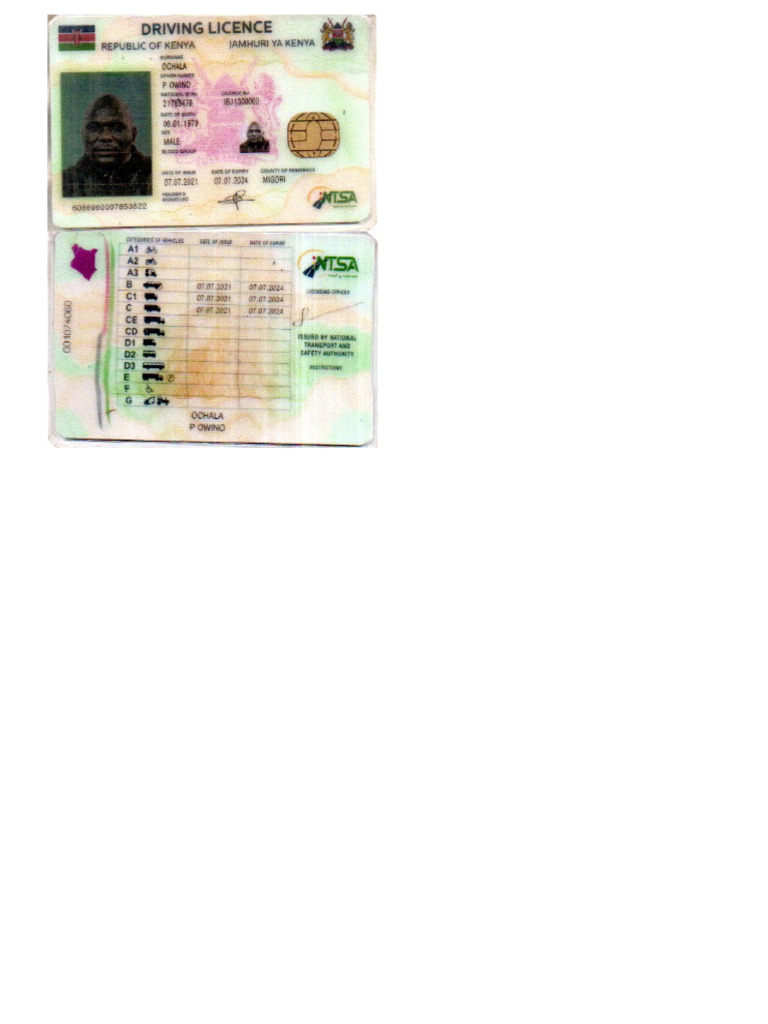 Peter Owino Ochola | PDF