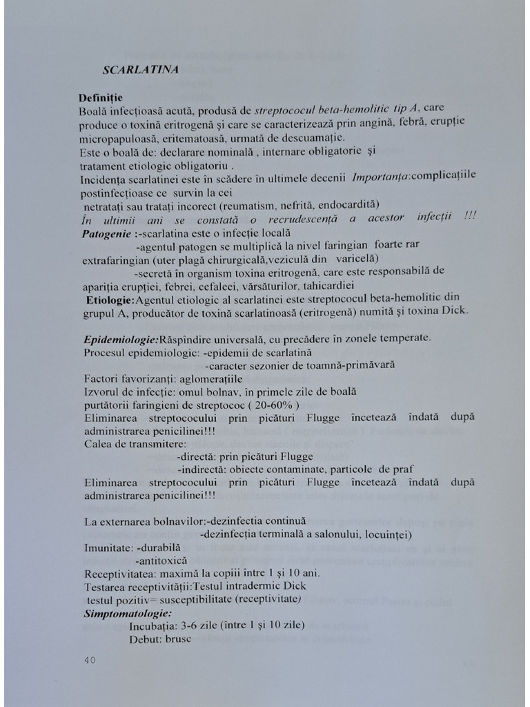 PDFReader_20241017_1802 | PDF