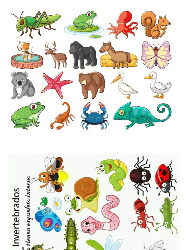 animales vertebrados e invertebrados | PDF