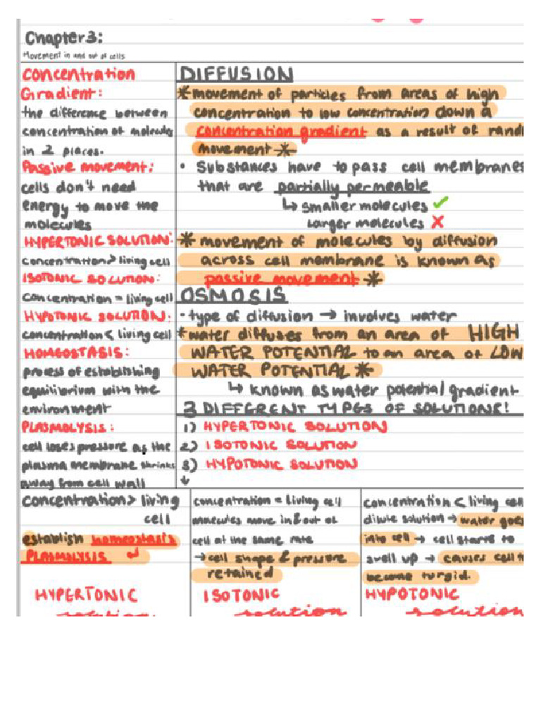 Osmosis and Diffusion | PDF