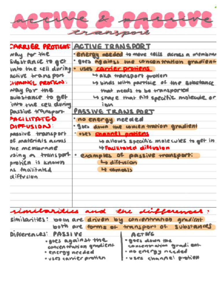 Active and Passive Transport | PDF