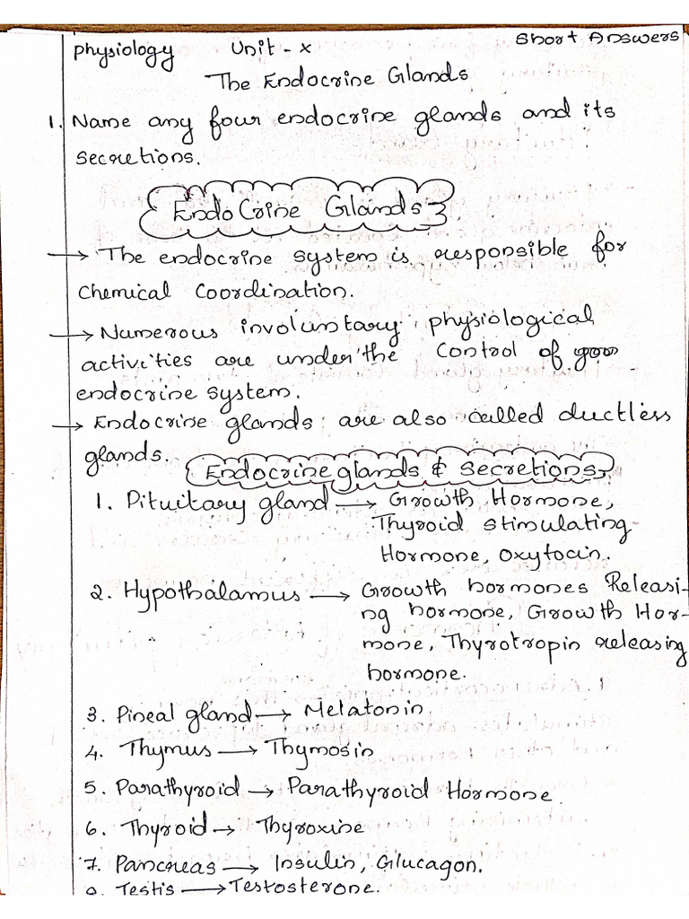 Physiology Endocrine Short Answers (2) 3 | PDF
