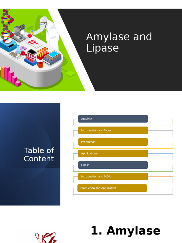 Amylase Lipase Protease Catalase Protease Penicilinase 2025 | PDF ...