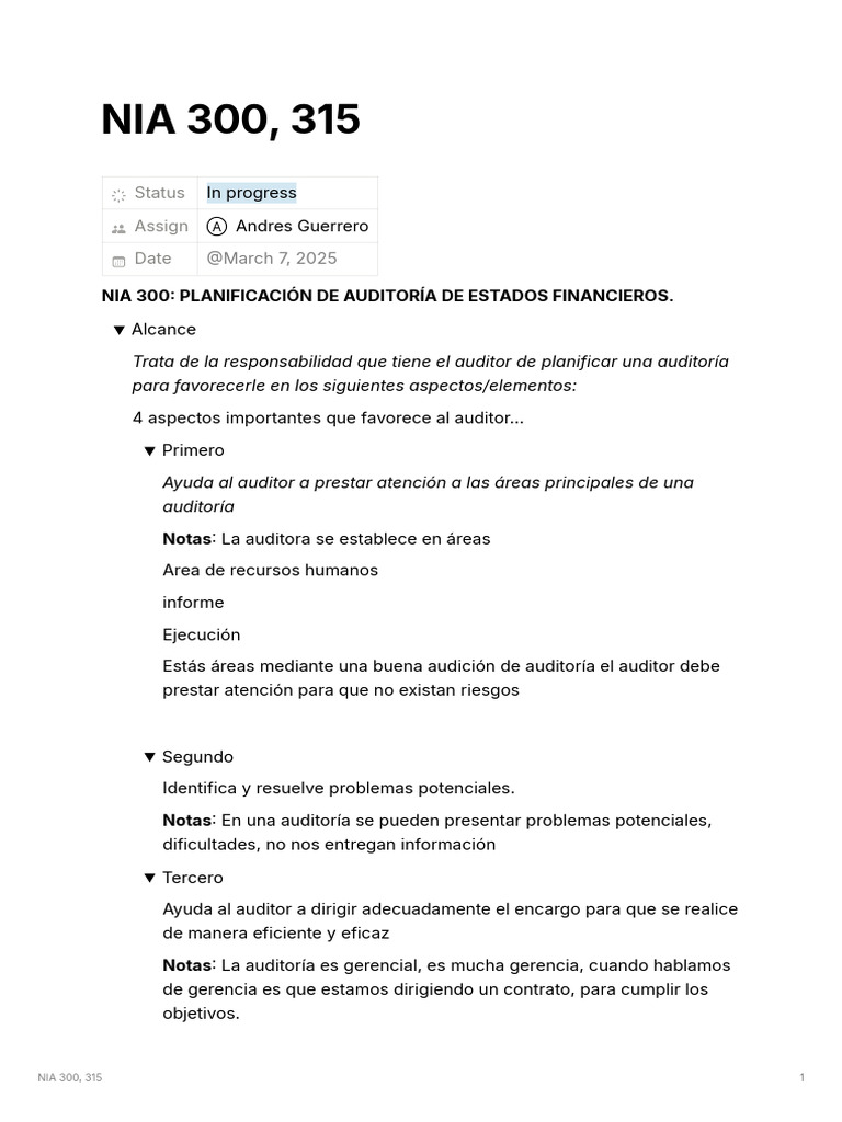 Nia 300 315-1 | PDF | Business | Auditoría