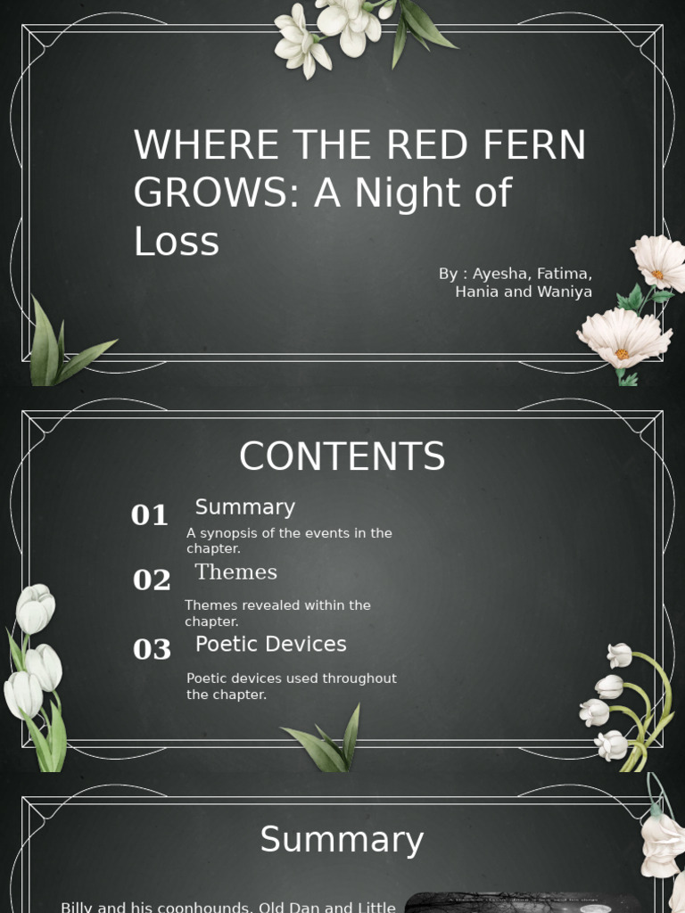 Where Red Fern Grows | PDF | Lion | Courage