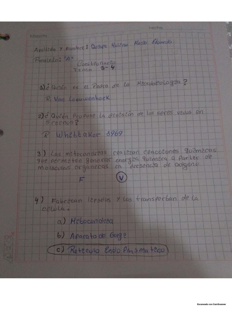 Cuestionario Tema 3 y 4 | PDF