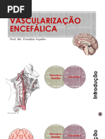 Forames do Crânio e suas Funções | PDF | Neuroanatomia | Anatomia humana