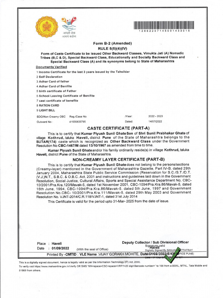 Non Criminal Certificate | PDF