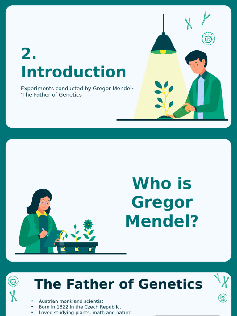 Biology Presentation - Hrithik | PDF | Plants | Biology