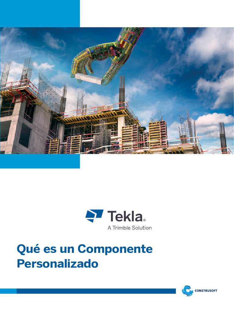 Qué Es Un Componente Personalizado | PDF