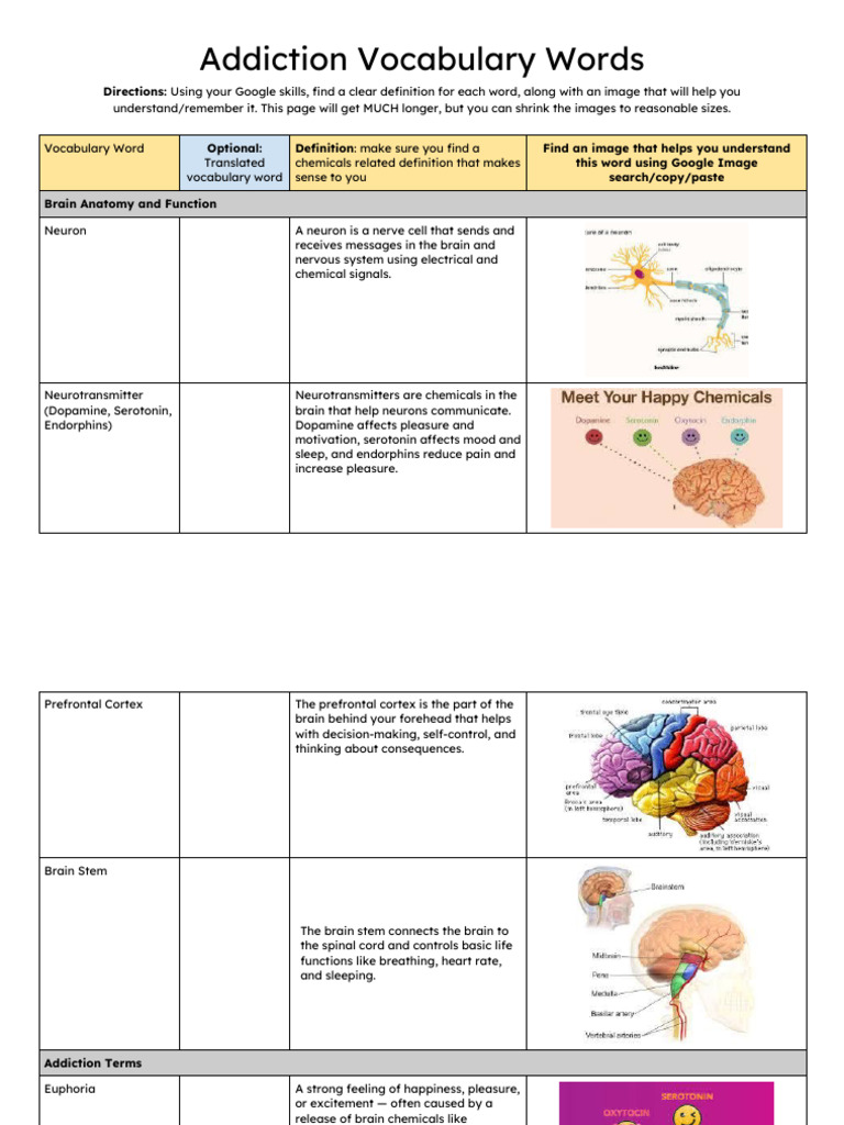 Vocabulary - Addiction | PDF | Brain | Neurotransmitter