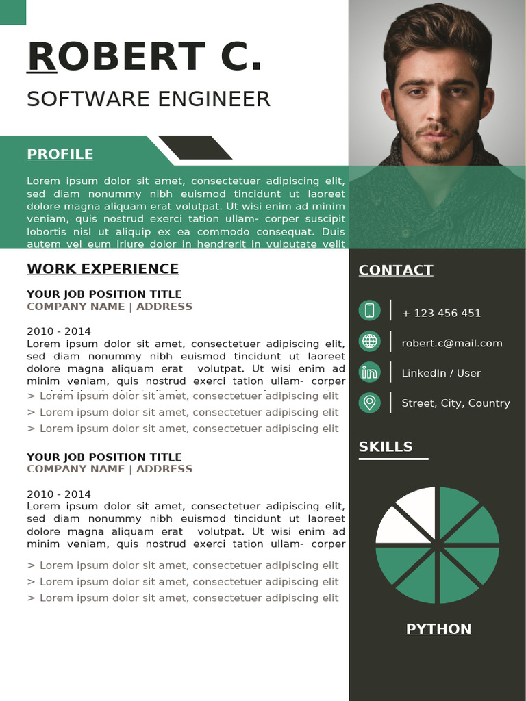 Template CV | PDF