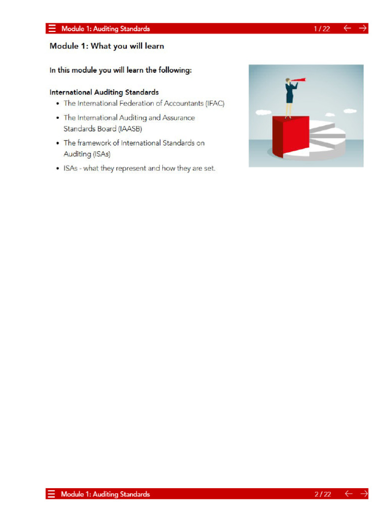 Auditing Standards | PDF