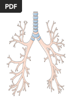 Manuscript Correction Signs | PDF