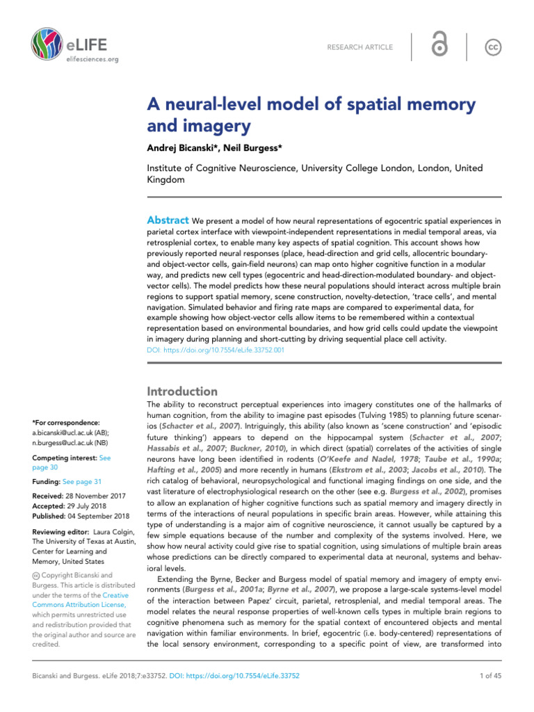 A neural-level model of spatial memory | PDF | Memory | Perception