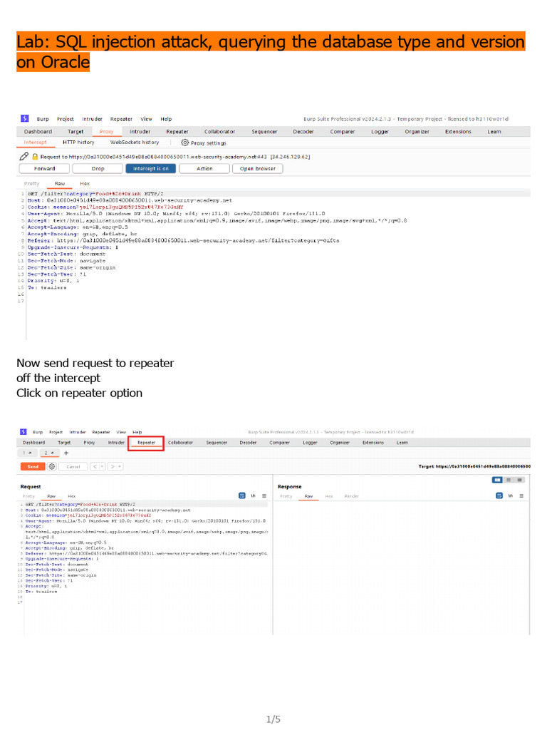 Lab 3 - Querying Database Type & Version On Oracle | PDF