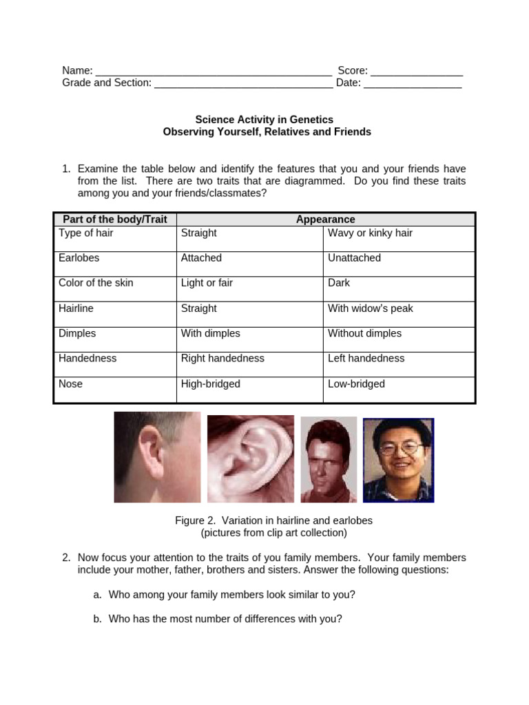 Science Activity in Genetics | PDF