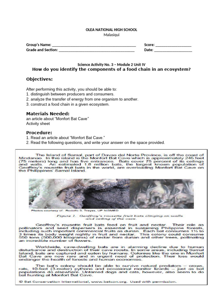 Science Activity 1unit IV MOdule 2 | PDF