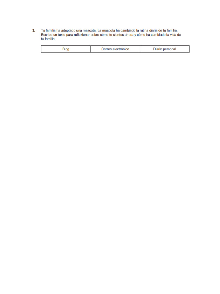Spanish Paper | PDF