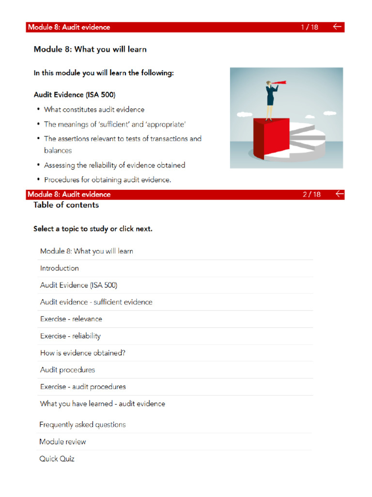 8.audit Evidence | PDF