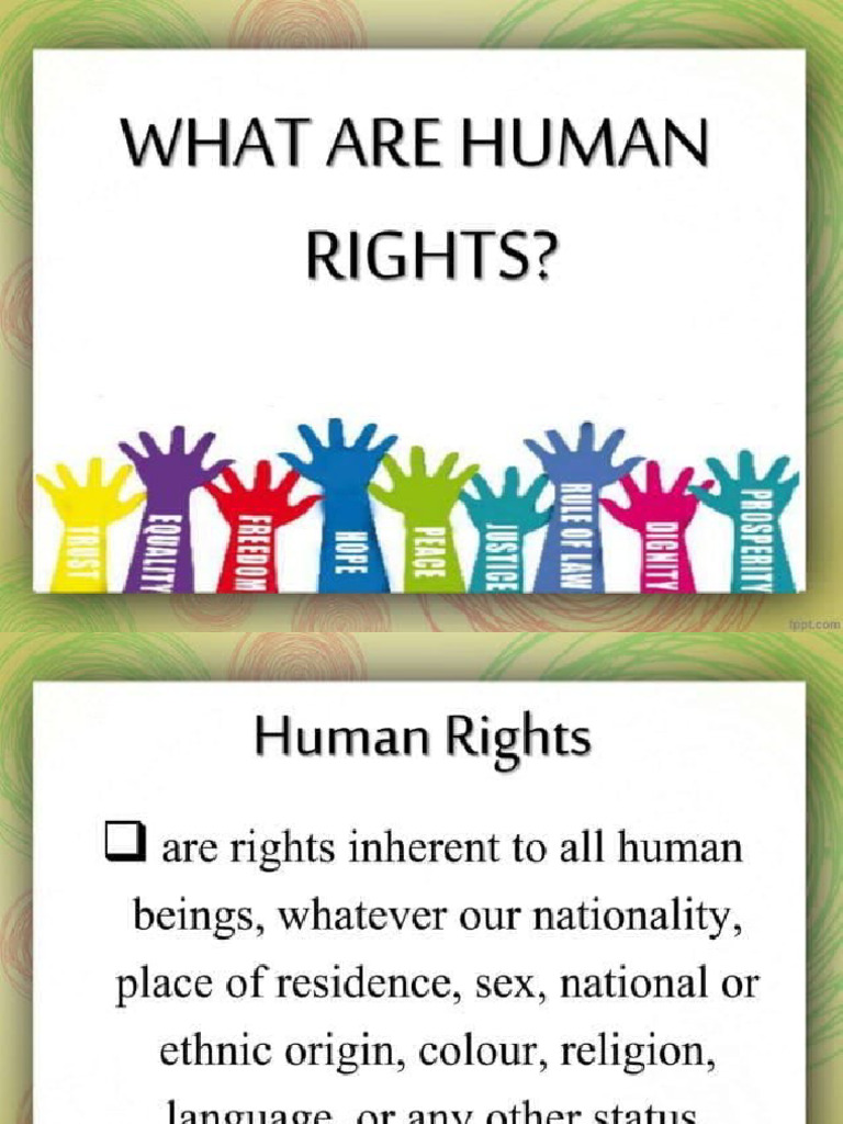 UDHR HUman Rights | PDF