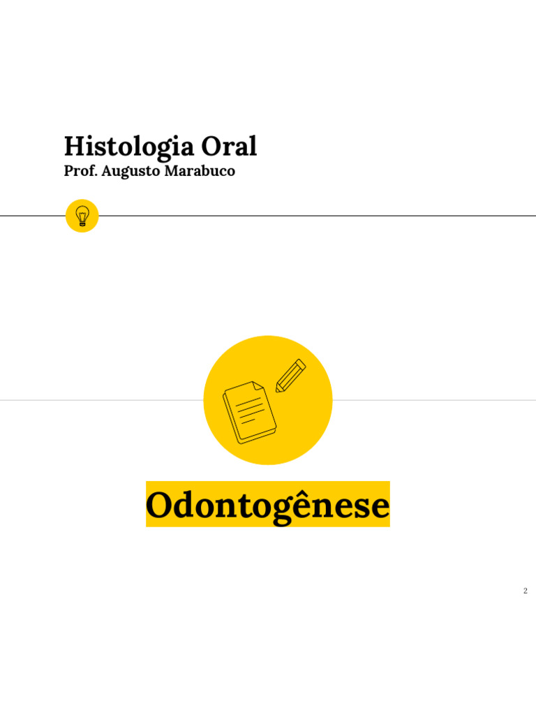 Histologia odontogênese | PDF | Dente humano | Boca