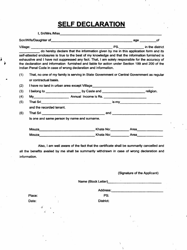 Income Self Declaration | PDF